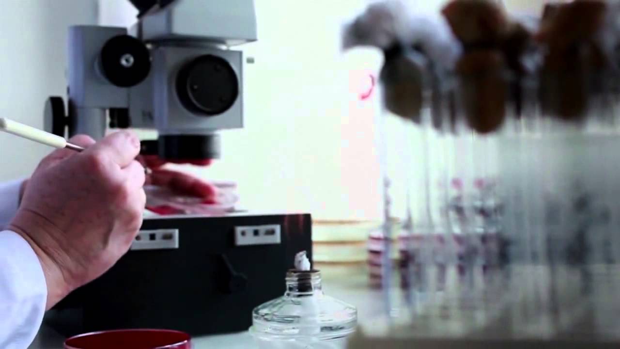 Mannatech Australia || The Shocking Truth - YouTube