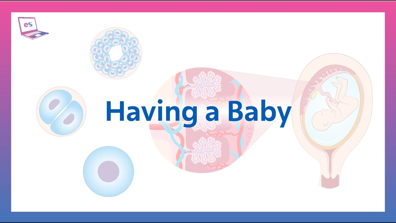 Having a Baby: Mastering Pregnancy and Reproductive Health with ...