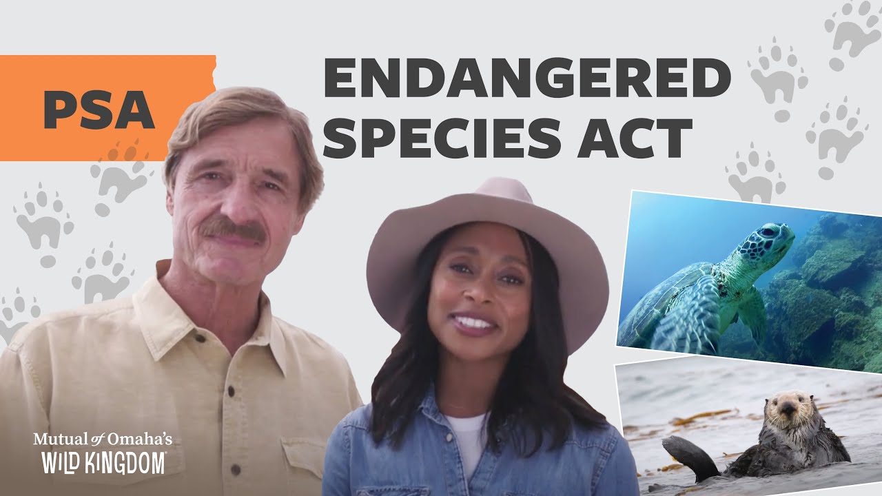 Endangered Species Act PSA | Mutual of Omaha's Wild Kingdom - YouTube