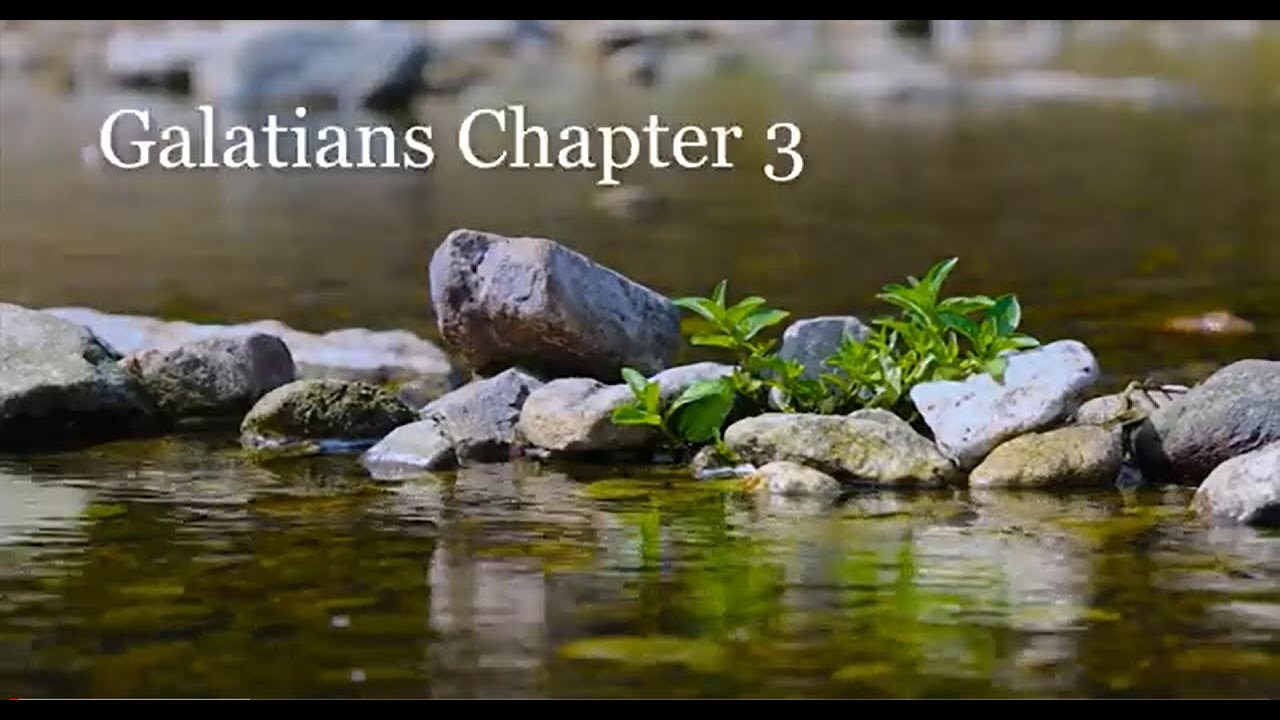 The Book of Galatians Chapter 3 - New King James Version (NKJV ...