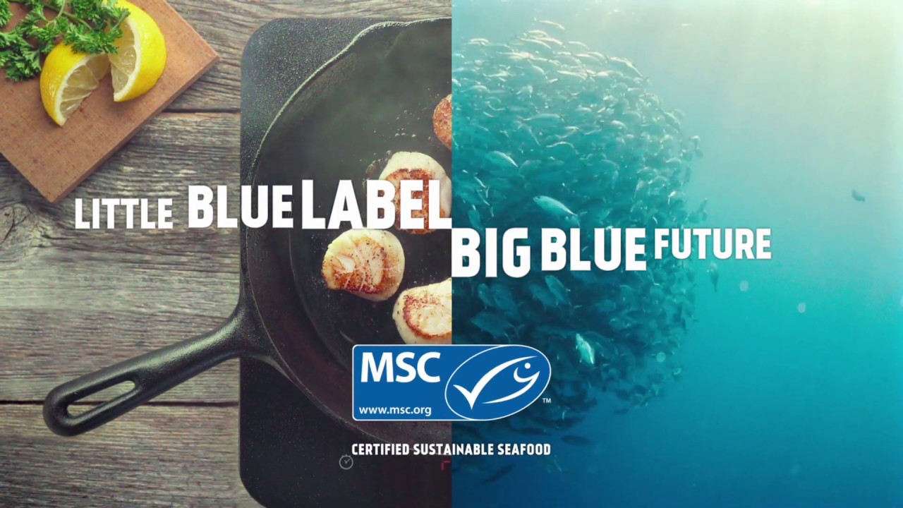 Little blue label, big blue future... - YouTube