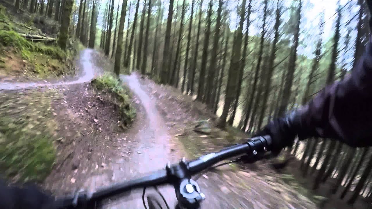 Bodmin Beast, Cardinham Woods Cornwall, Singletrack MTB Mountain Bike ...