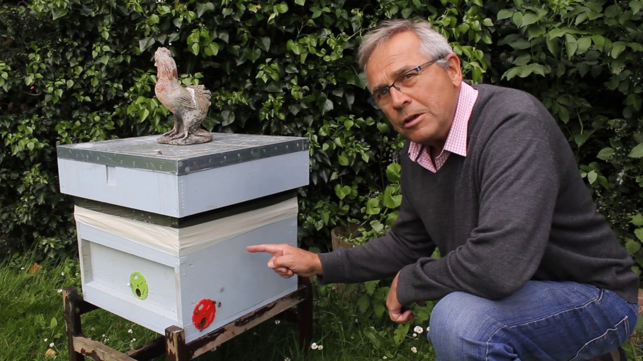 Beekeeping UK swarm cells = 5 Nucleus, 2 mini nucs. - YouTube