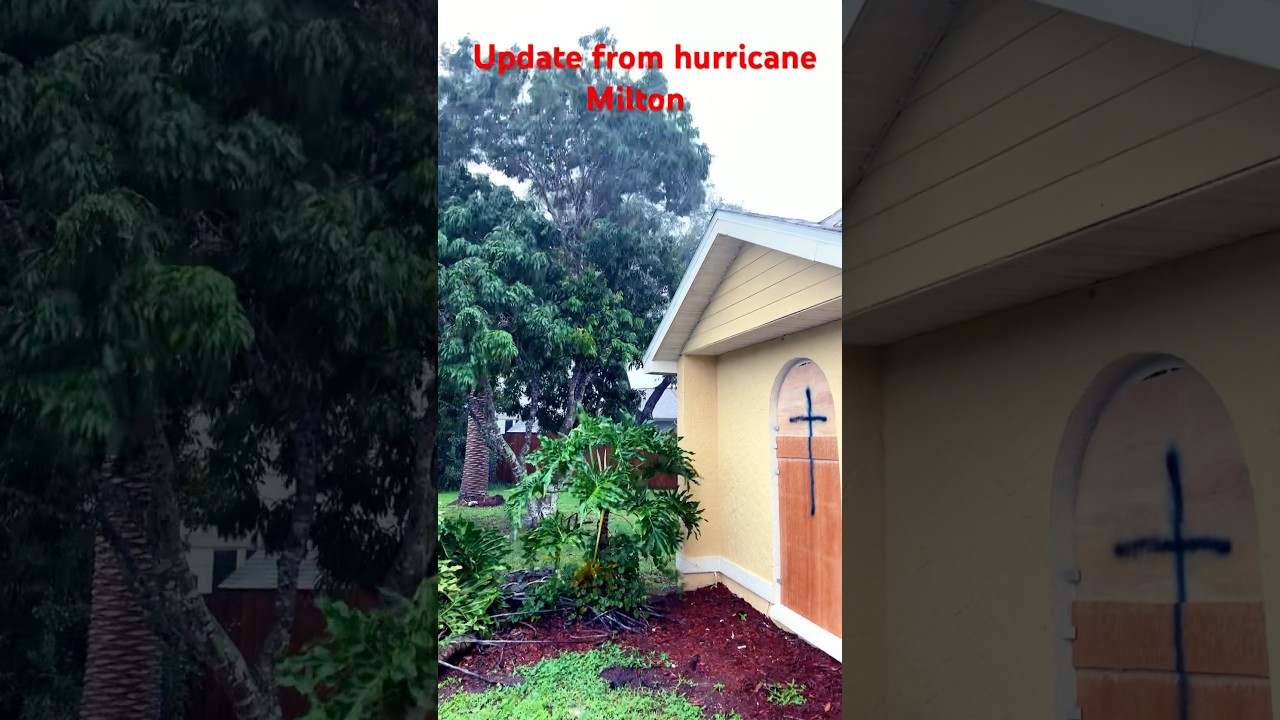 I will update every hour ! - YouTube