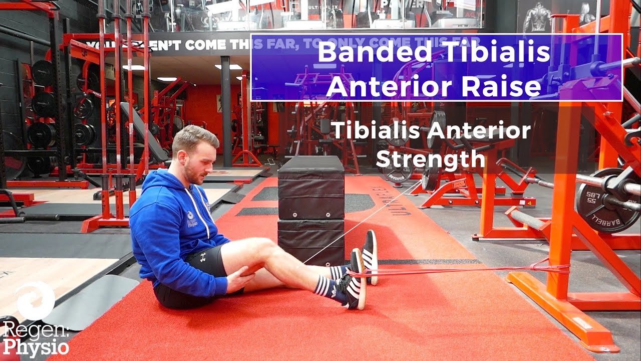 Banded Tibialis Anterior Raise - YouTube