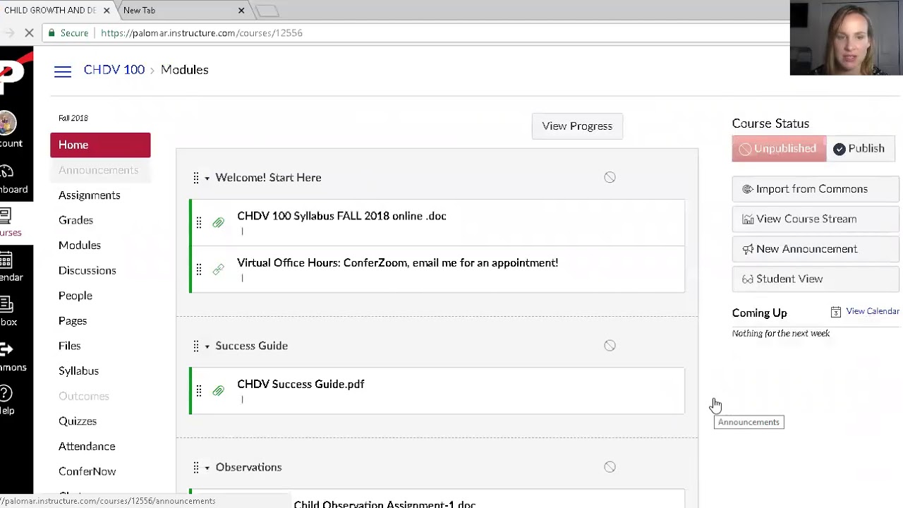 CHDV 100 Research Paper Video - YouTube