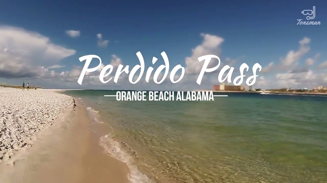 Family Fun at Perdido Pass Orange Beach Alabama - YouTube