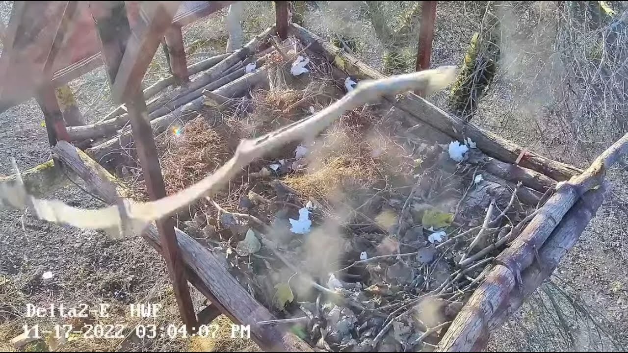 Stick Drops By at Delta 2 - YouTube