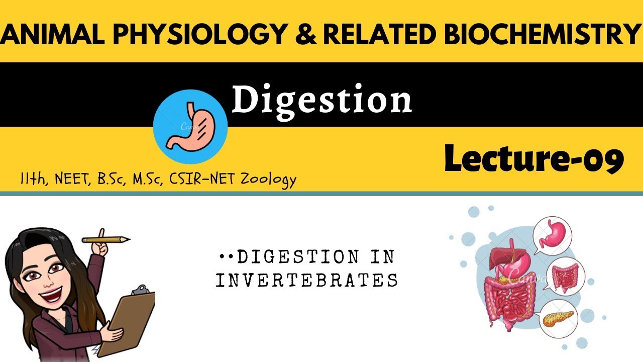 L-9 Digestion in Invertebrates|Animal physiology & Related Biochemistry ...