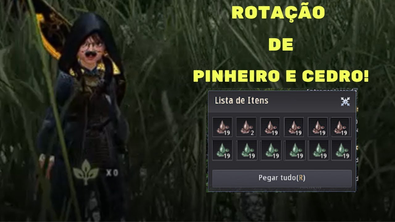 BDO Cedar and Pine (Cedro e Pinheiro)! - YouTube