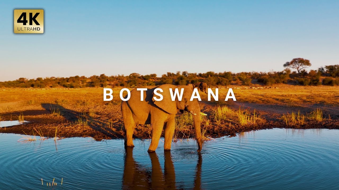 Botswana from Above 4K UHD - A Cinematic Drone Journey - YouTube