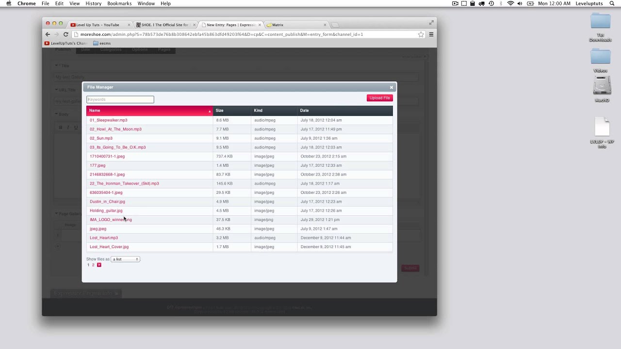ExpressionEngine 2 Tutorials #27 - Matrix - Part 1 - YouTube