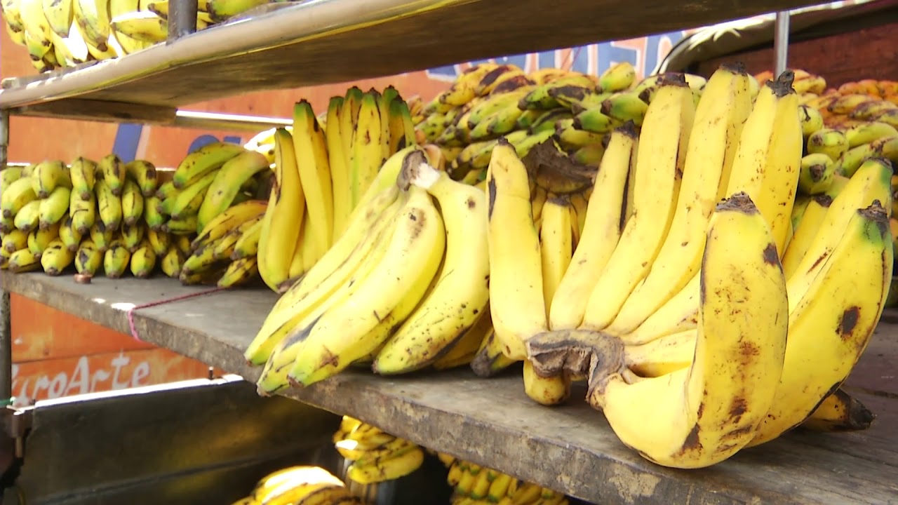 Las frutas de temporada en El Salvador - YouTube