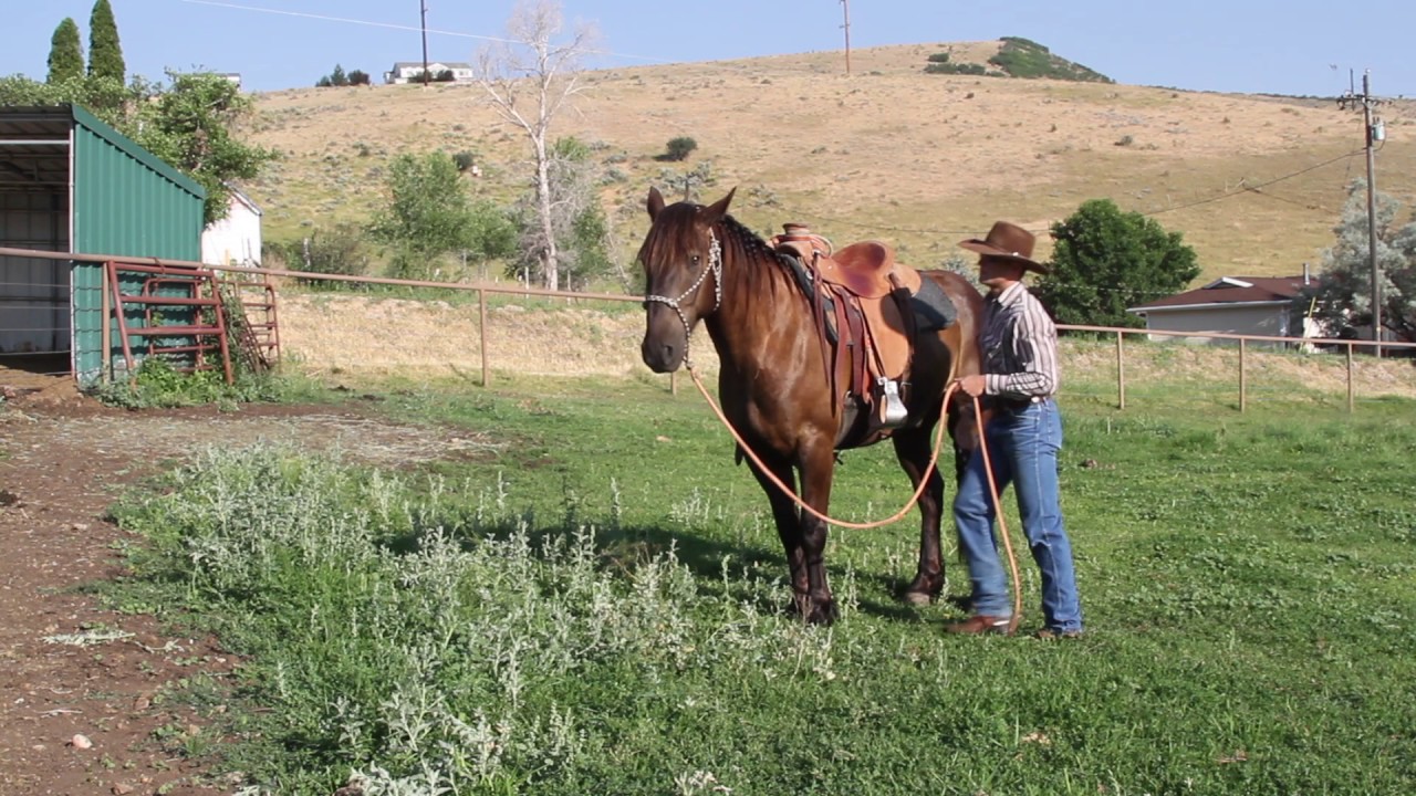 Brady Nightlinger - YouTube