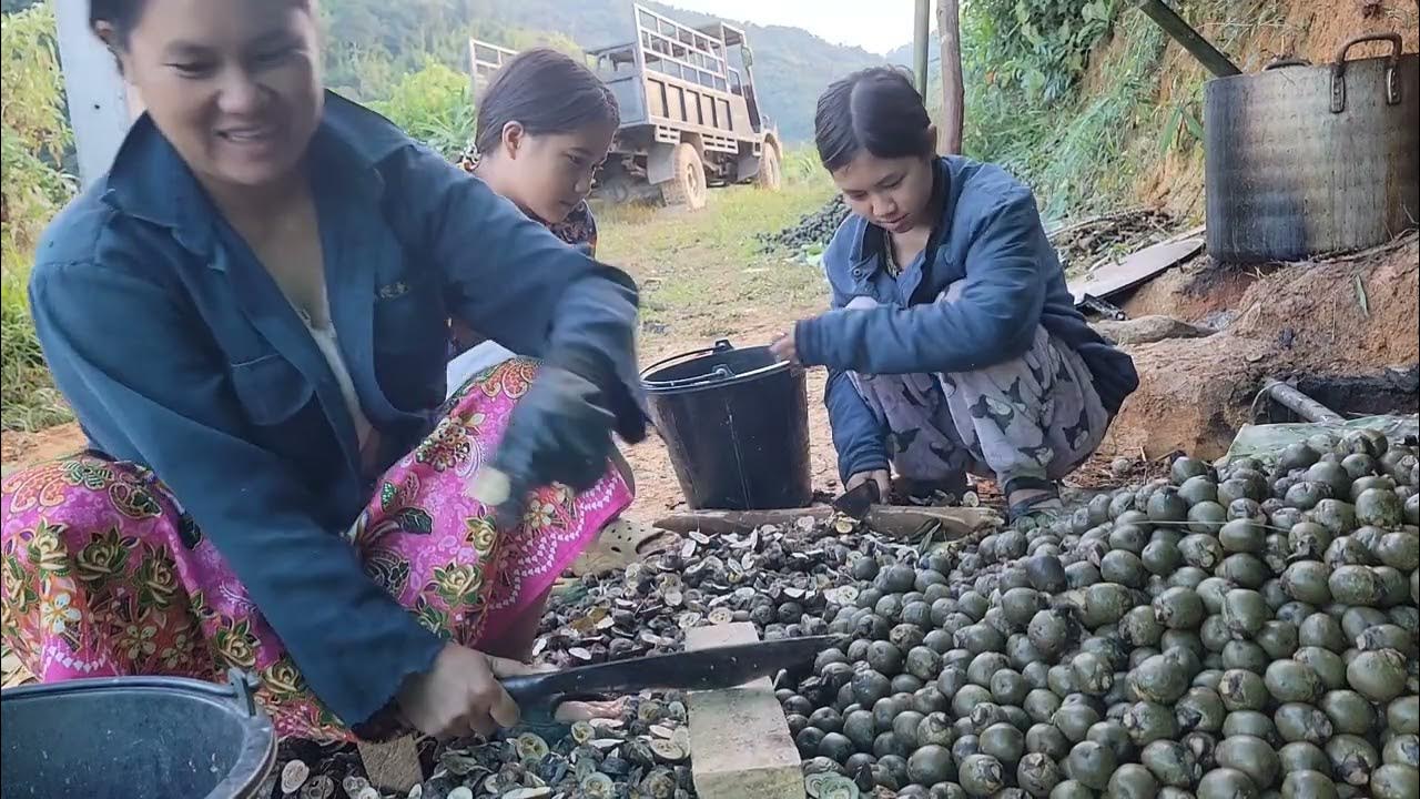 sawv ntxov los ua toov laj dua nawb 16/12/2024 - YouTube