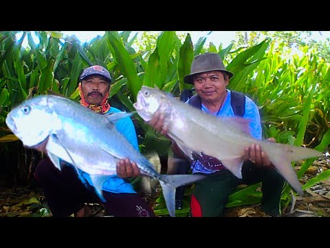 NEKAT MANCING DI SARANG IKAN PREDATOR - CASTING PINGGIRAN PANTAI SELATAN