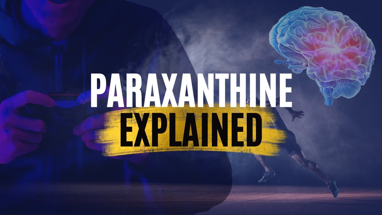 Paraxanthine Explained - YouTube