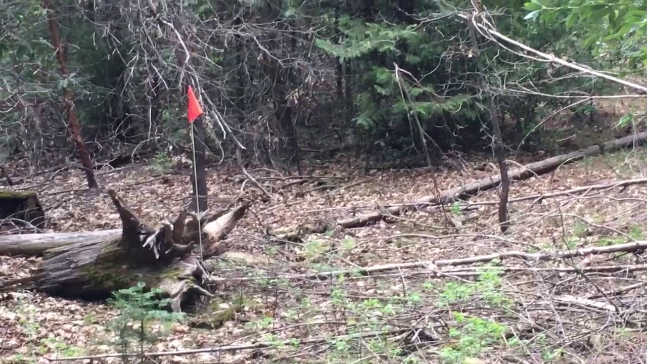 Red Dog Road - YouTube