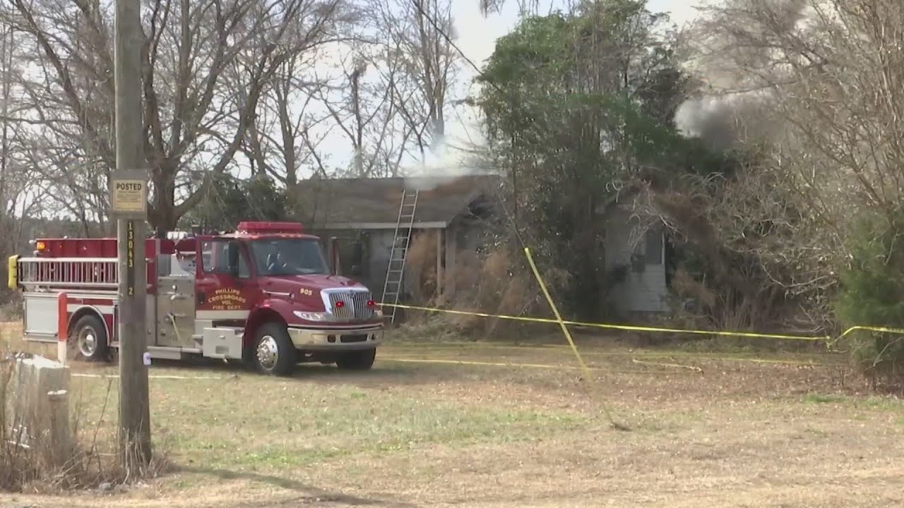Eight dogs, seven cats die in Jones County house fire; cause unknown ...