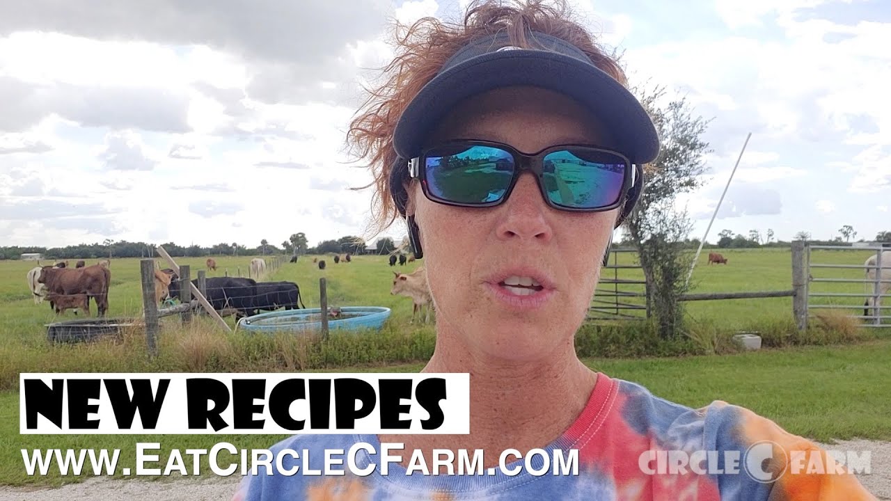 BIG UPDATES FROM CIRCLE C FARM THIS WEEK! - YouTube