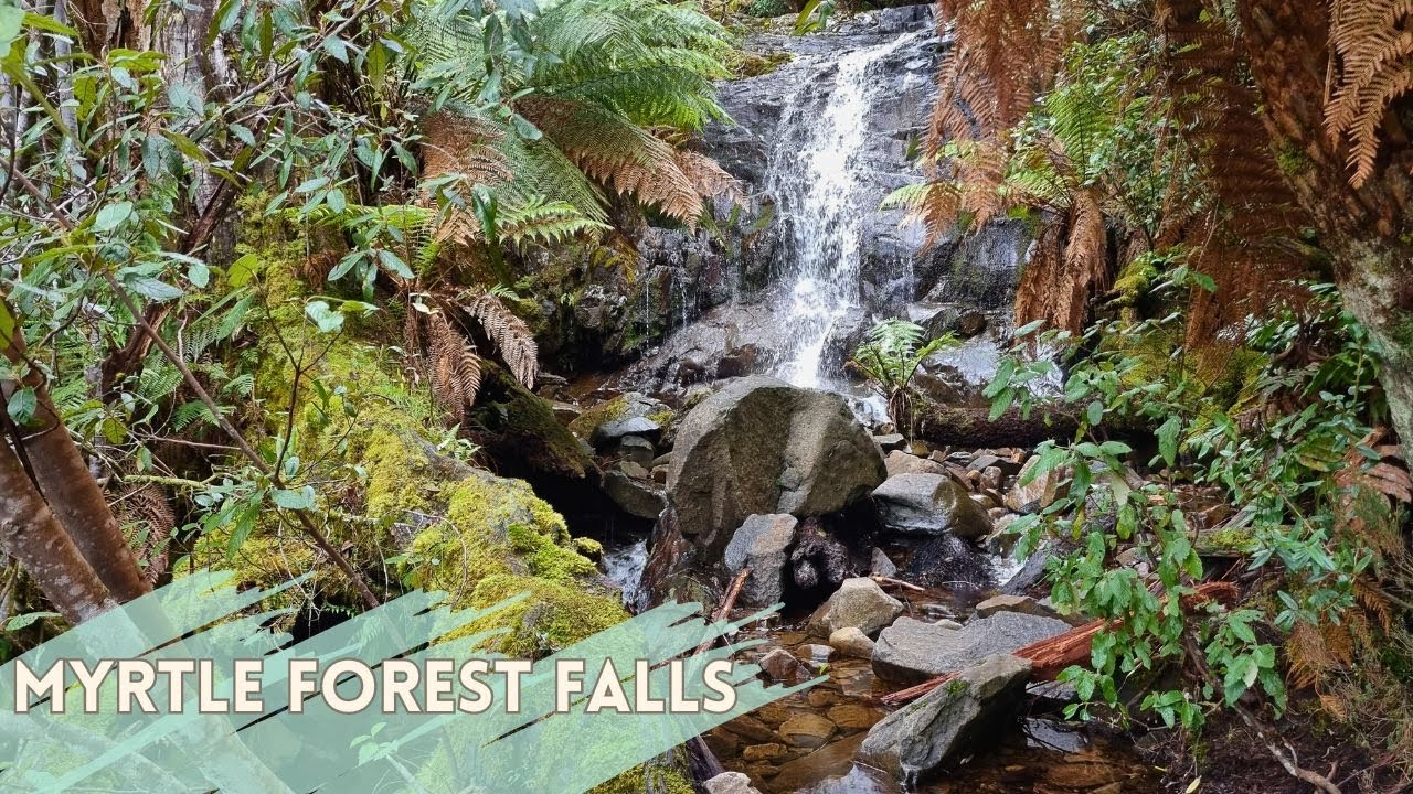 Myrtle Forest Falls - YouTube