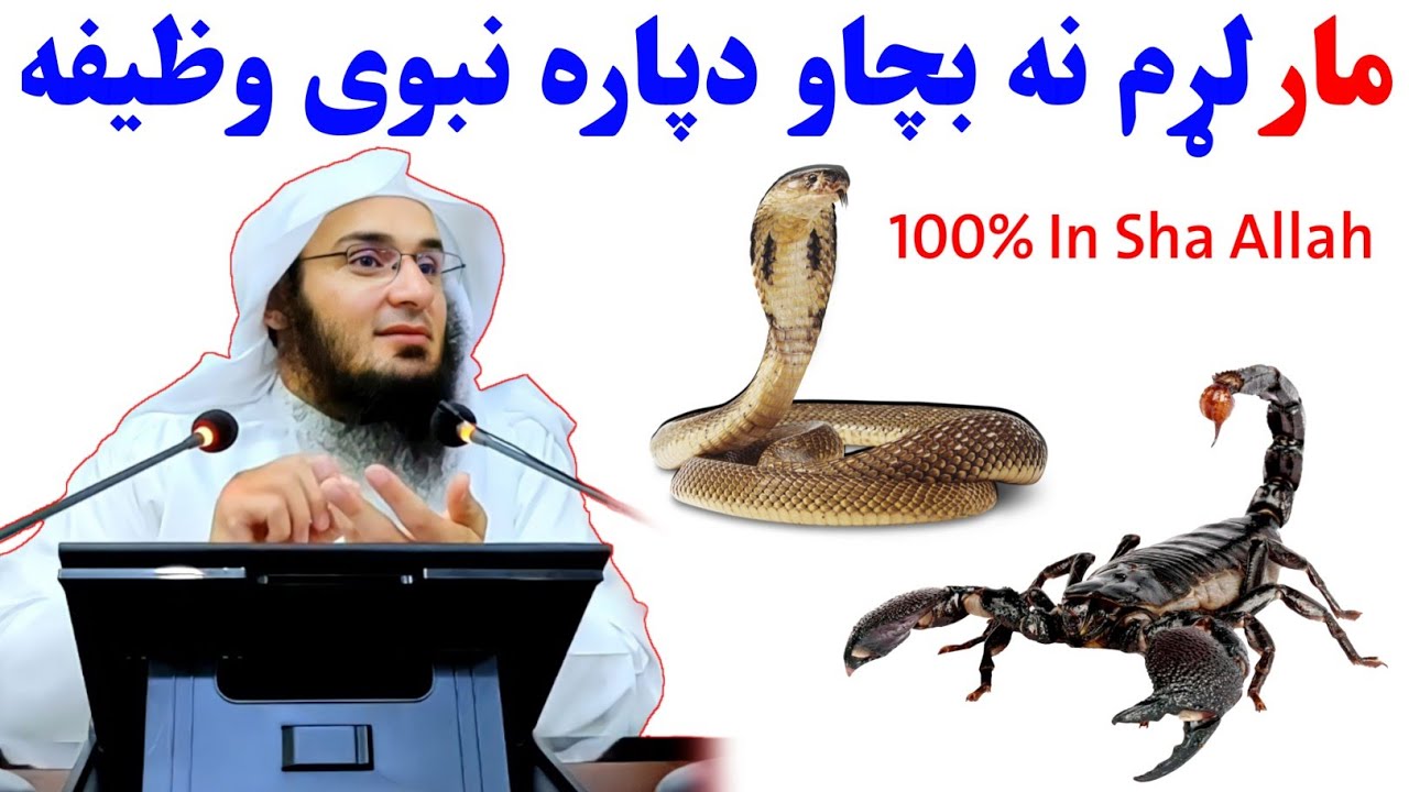 Dua through which you'll be safe from insects stinging - sheikh abu ...