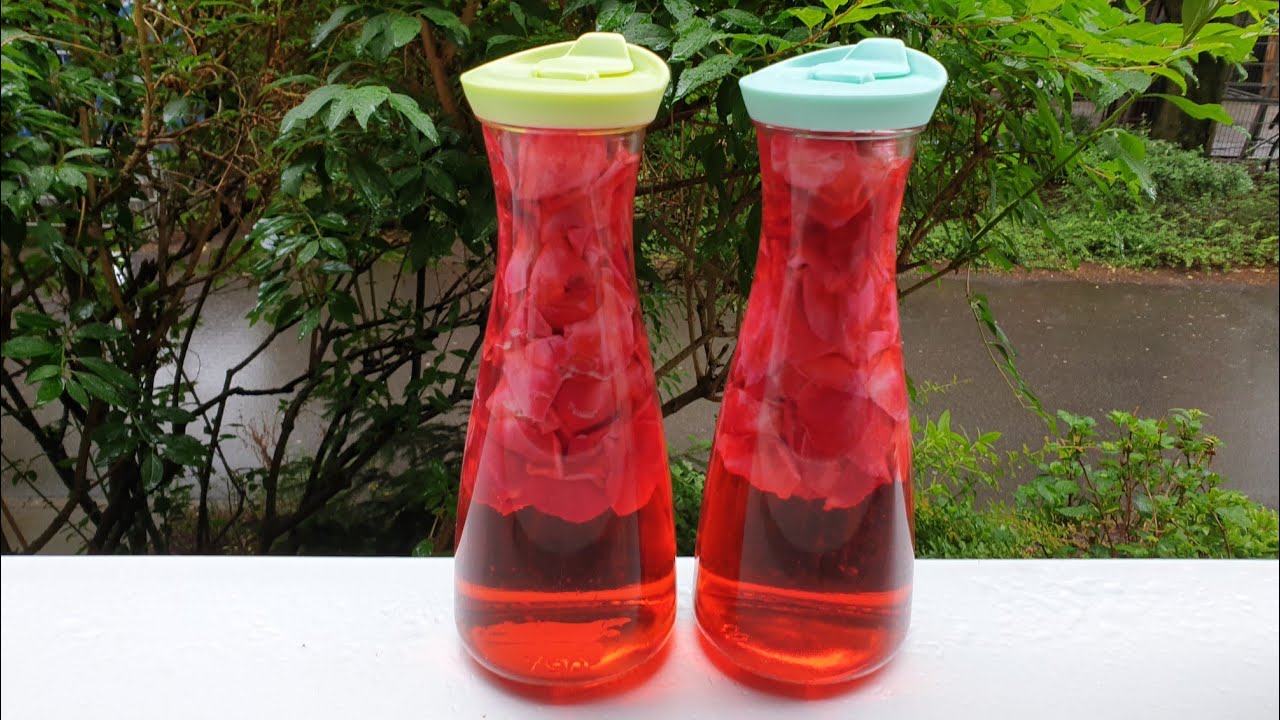 😍😍Shurup nga Trendafilat😍😍 ,Rose Water😍,Rosen Wasser😍 - YouTube