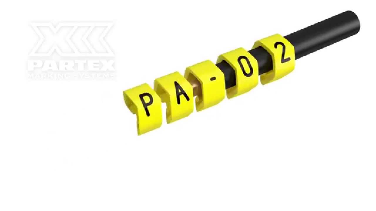 PARTEX PA - YouTube