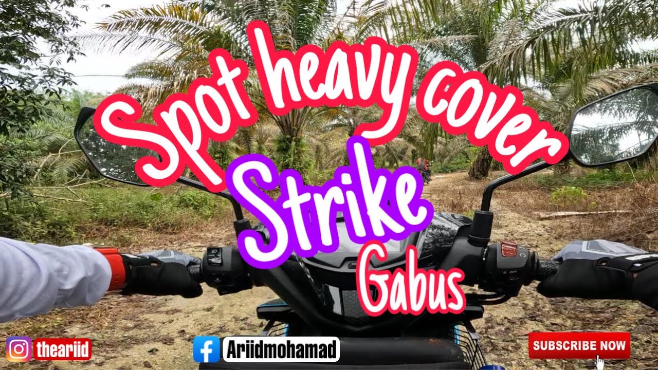 Spot heavy cover | casting gabus | snakehead | strike - YouTube