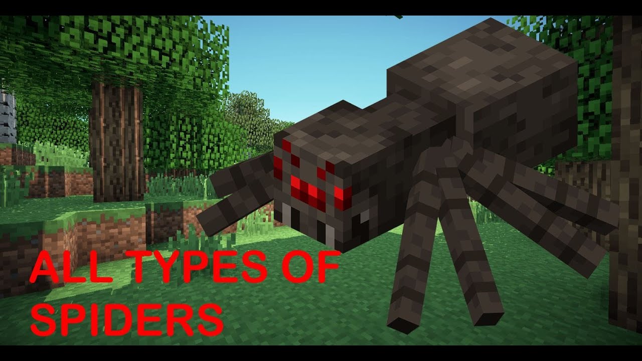 Types of Spiders in Minecraft - YouTube