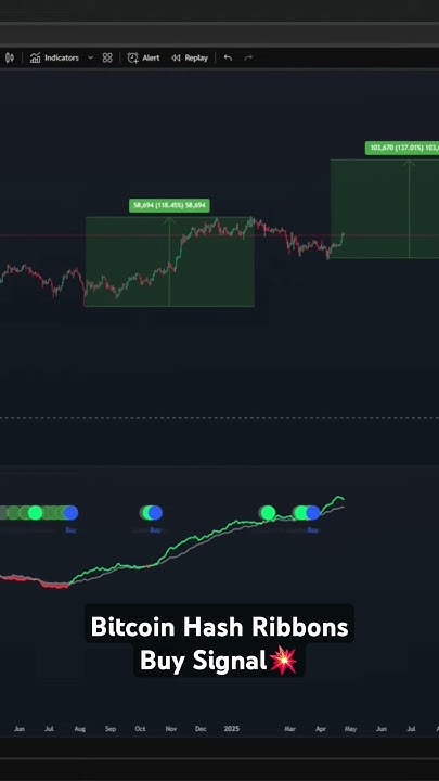 Bitcoin Hash Ribbons Buy Signal - YouTube