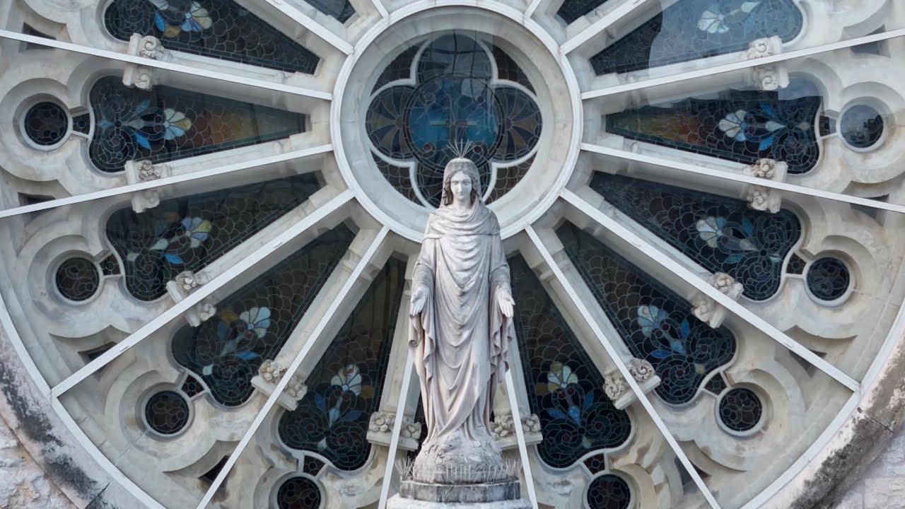 Aerial View of Cathedral of St. Mary & the Texas State Capital in ...