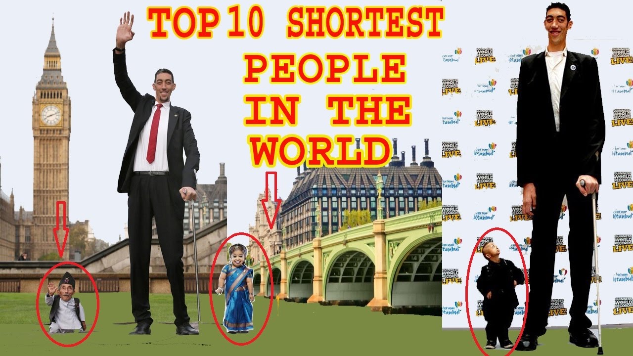Top 10 Shortest People In the world Till 2016| Unbelievable Facts| Top ...
