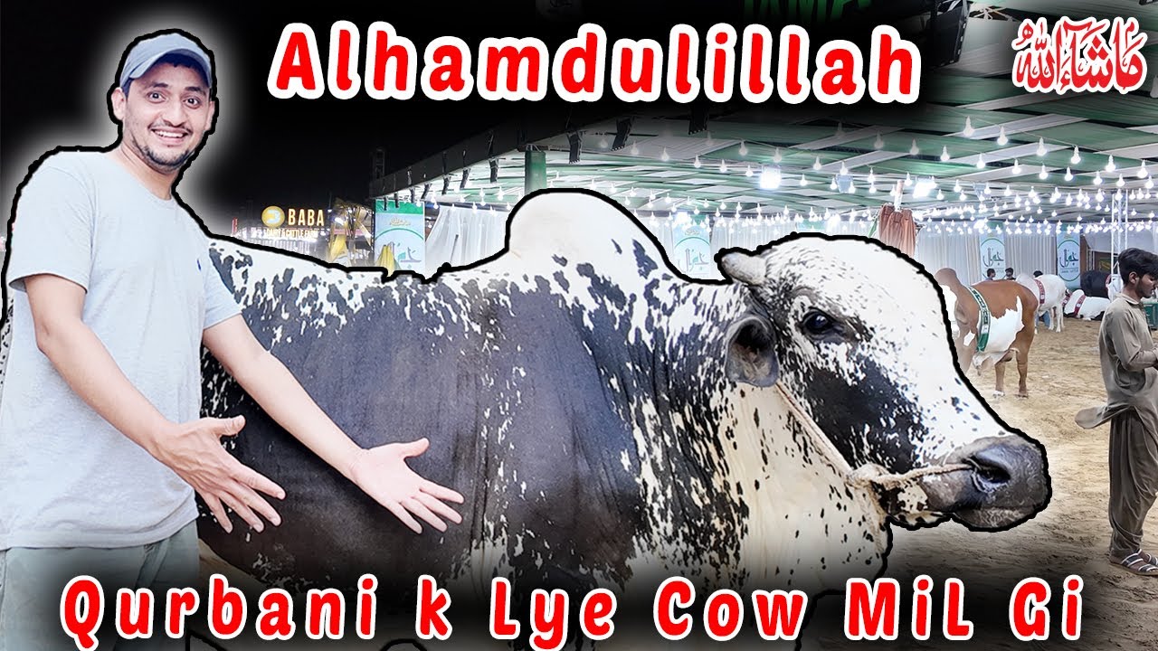 Finally Qurbani Ka Janver Mil Gya Alhamdulillah || Northern Bypass Gaye ...