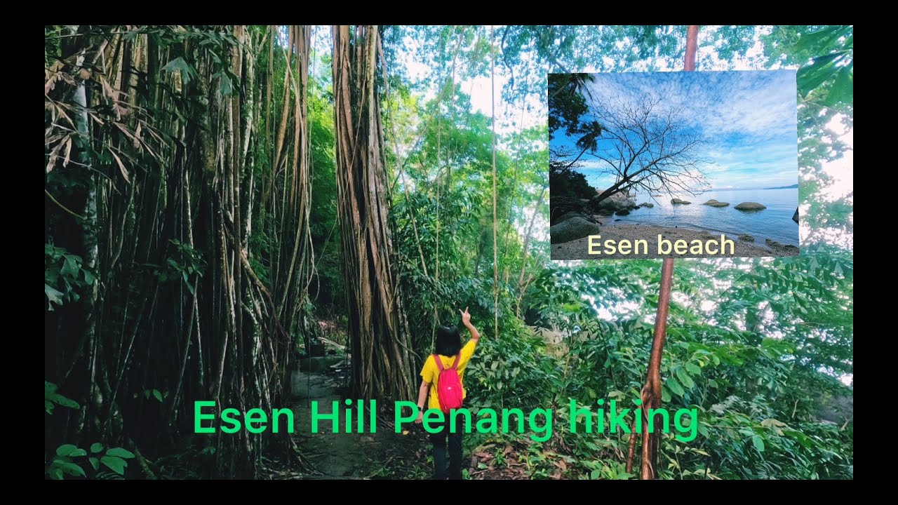 Hiking to Pantai Esen, Permatang Damar Laut, Penang | Hiking in Penang ...