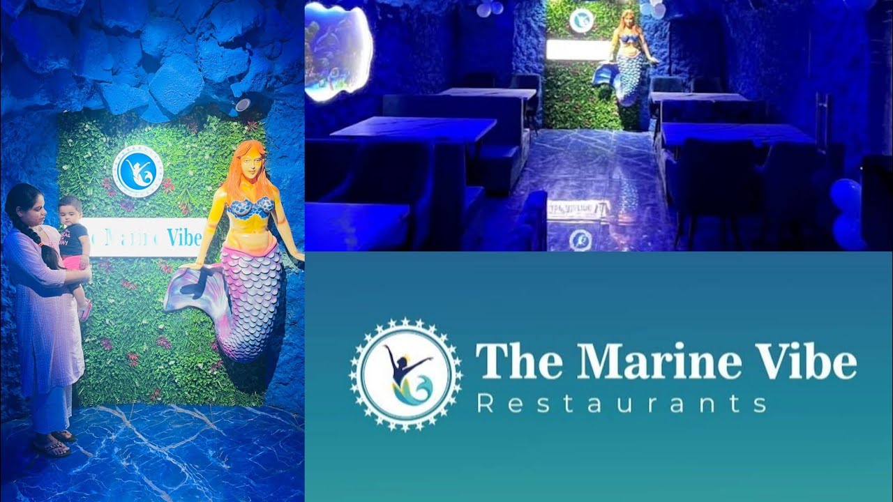 The Marine Vibe - Model Town, Rohtak - YouTube