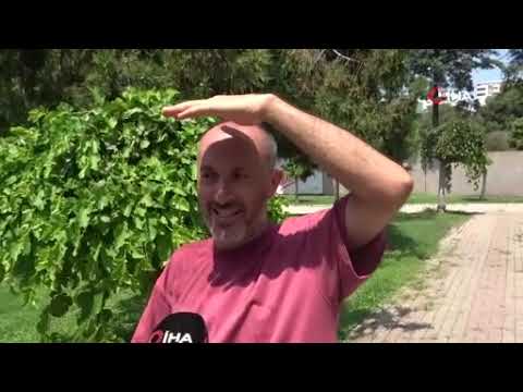 Adana’da sıcaklar vatandaşlara zor anlar yaşatıyor