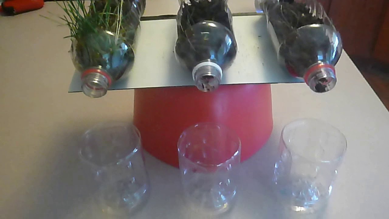 Soil Erosion By Water Experiment