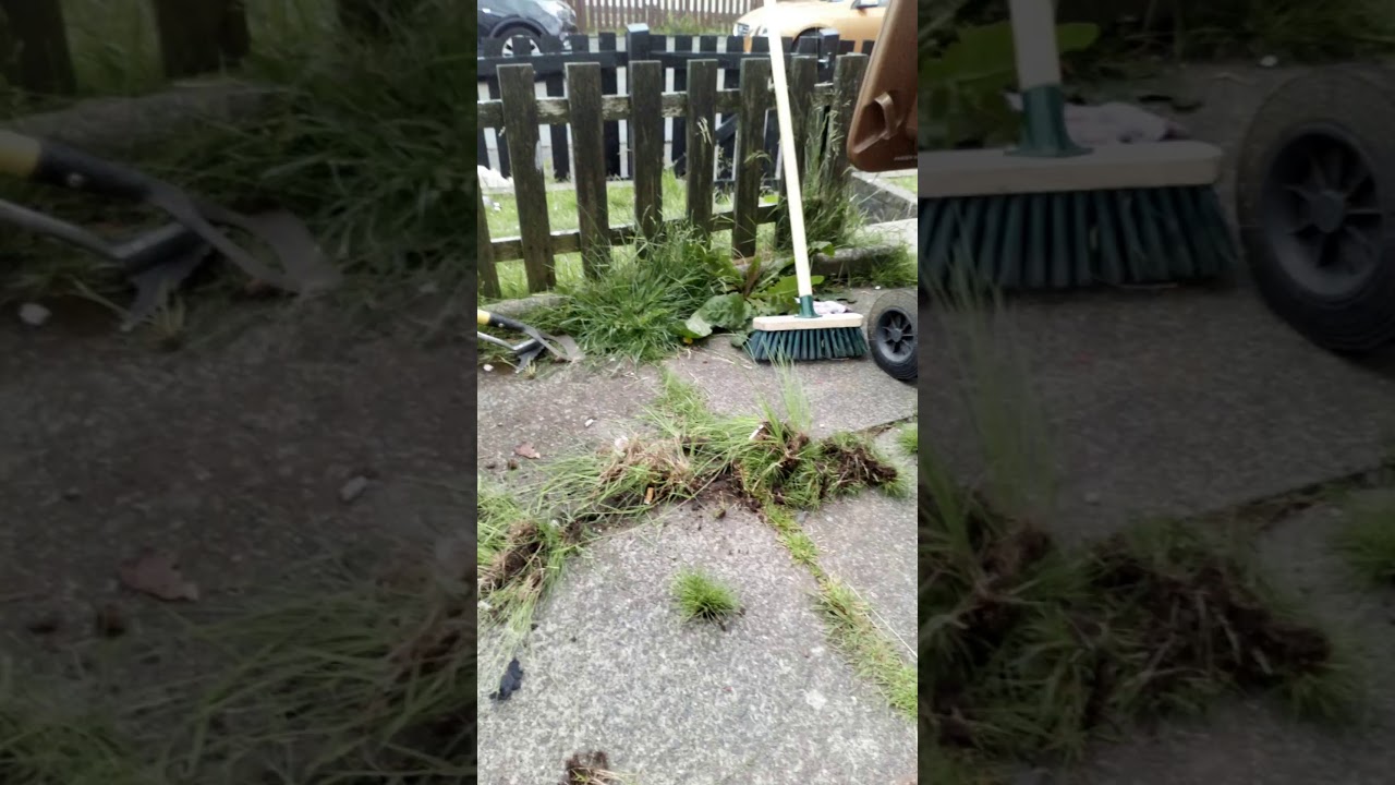 Weeding job before & after pictures - YouTube