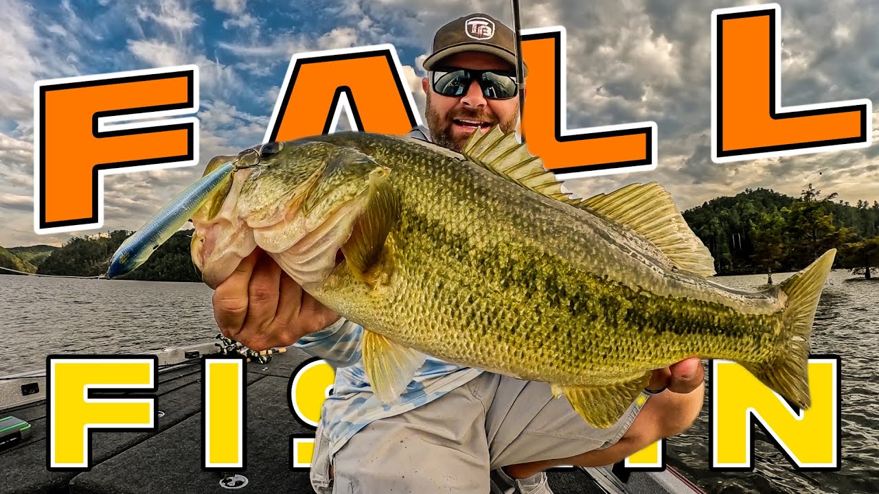 4 Techniques That Always Catch Bass In Fall! - YouTube