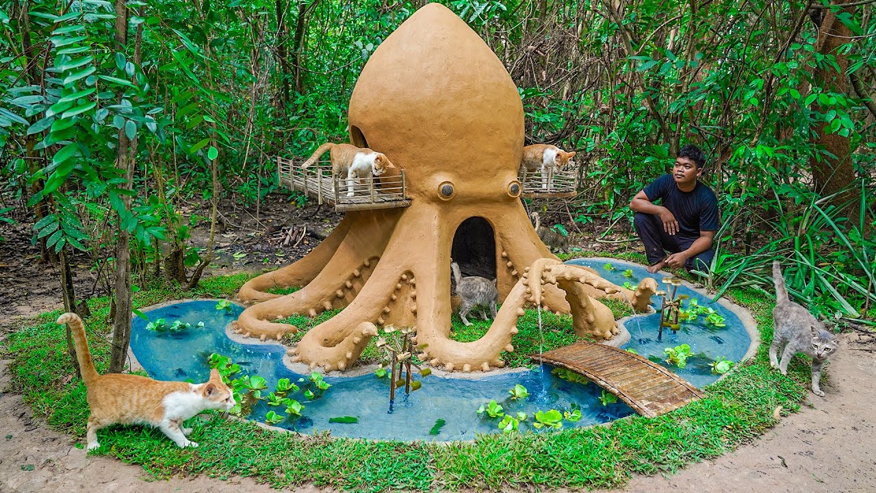 Rescue Cat Build Cat House In Octopus And Fish Pond For Crayfish - YouTube