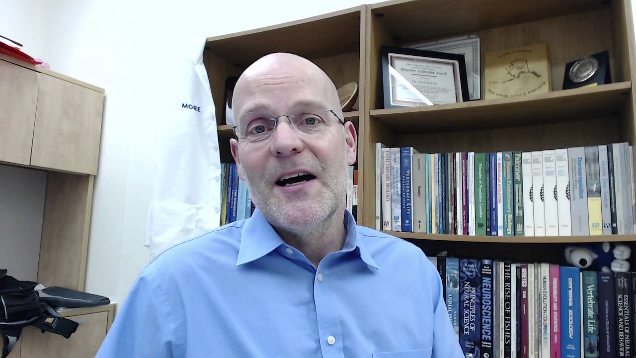 Module 9.2 – Depression (Major Depressive Disorder; MDD) in Humans ...