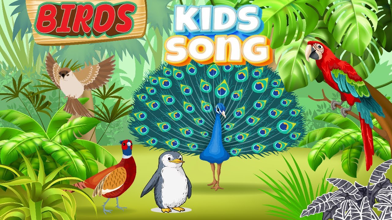 The Bird Song: Let's Fly High Together! | Bird Songs for Kids ...