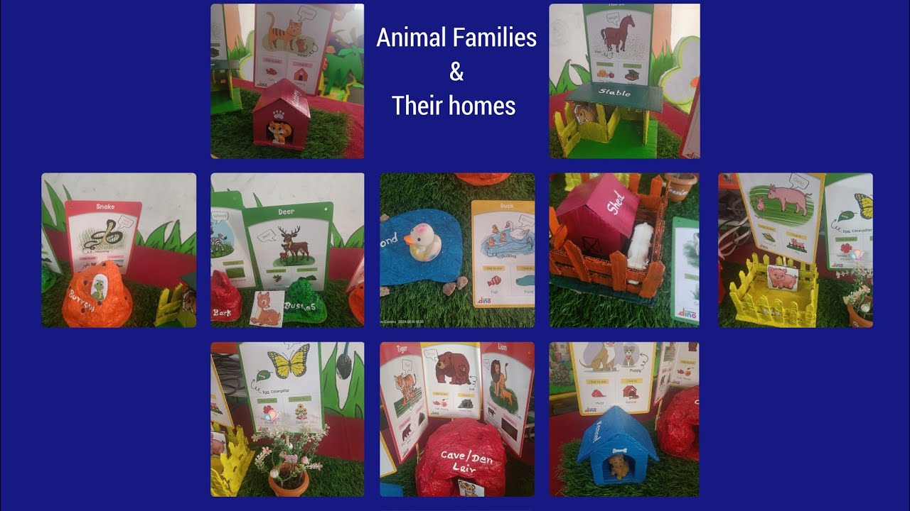 Animal Families | Animal homes school project | Animal young ones | Diy ...