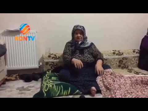 Kahkaha garantili yılan hikayesi