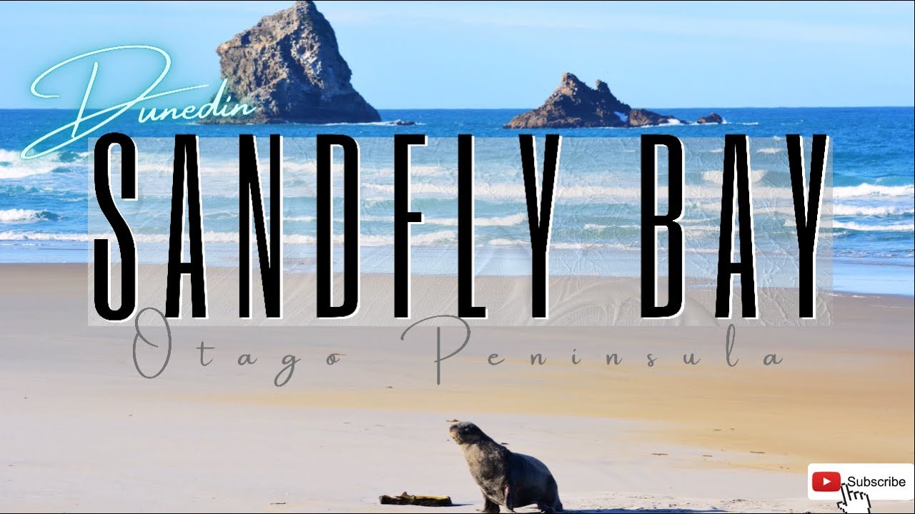 Sandfly Bay | New Zealand's Stunning Beaches | Dunedin NZ - YouTube