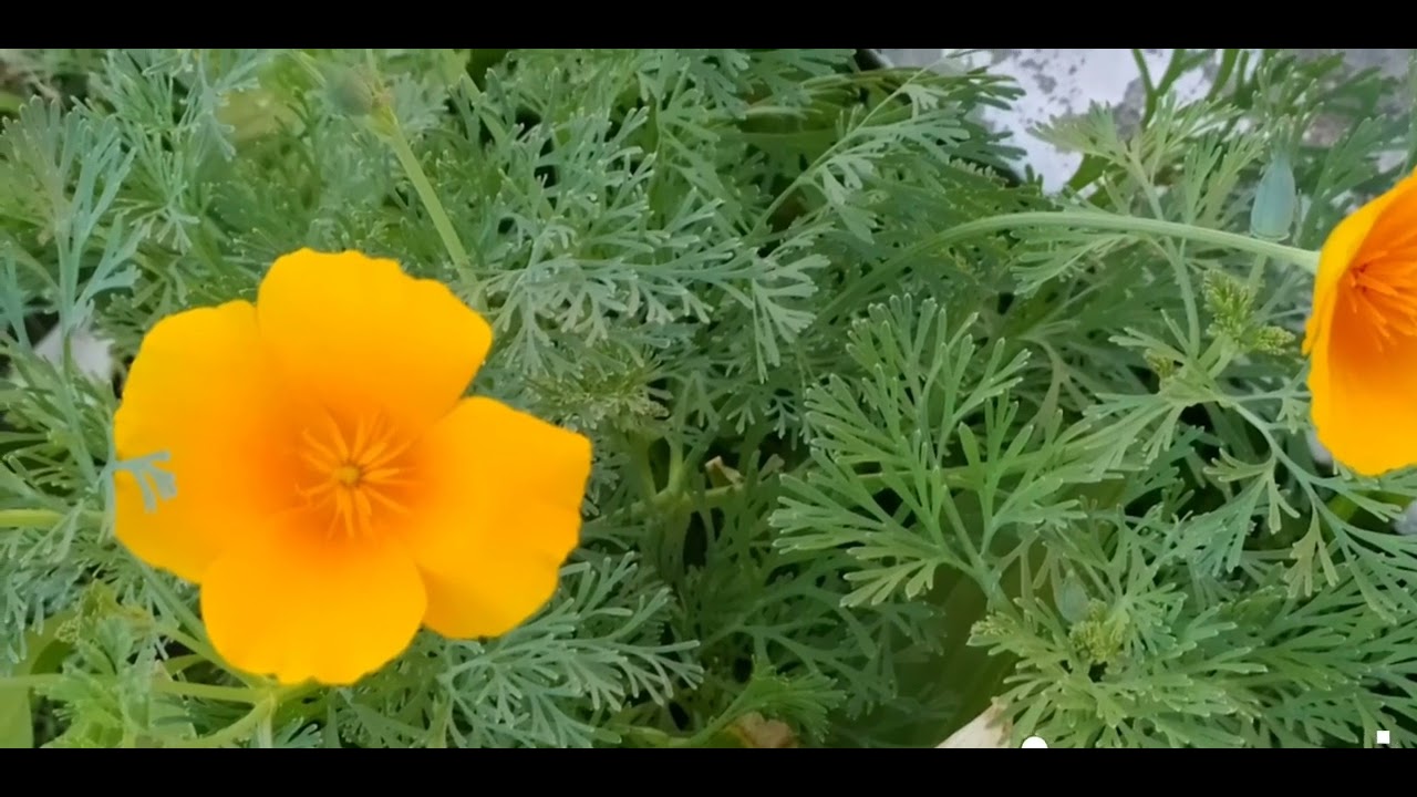 11 июня 2024 г. - YouTube