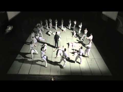 Ip Man - Trailer Deutsch/German HD 2008