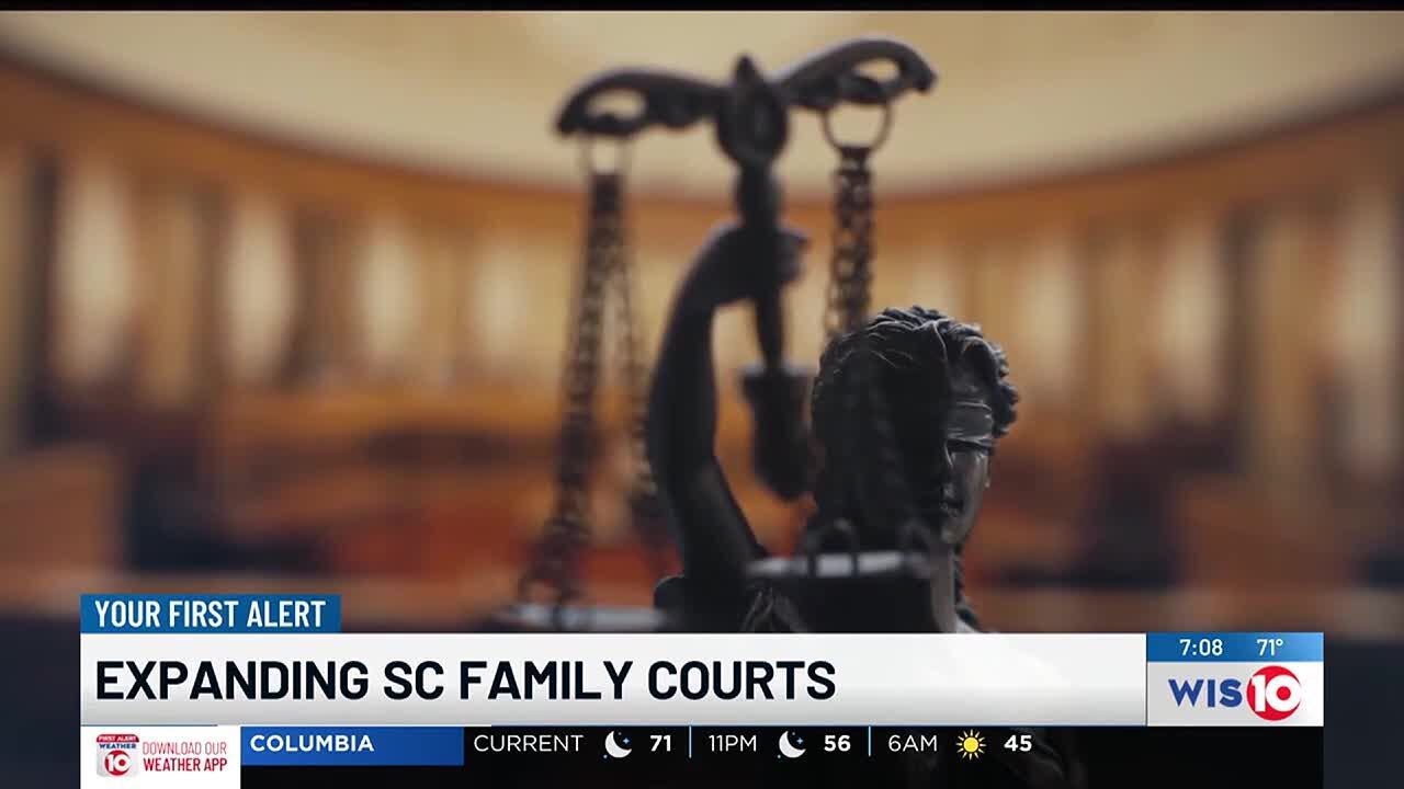 Request for new judges could alleviate family court backlogs in ...