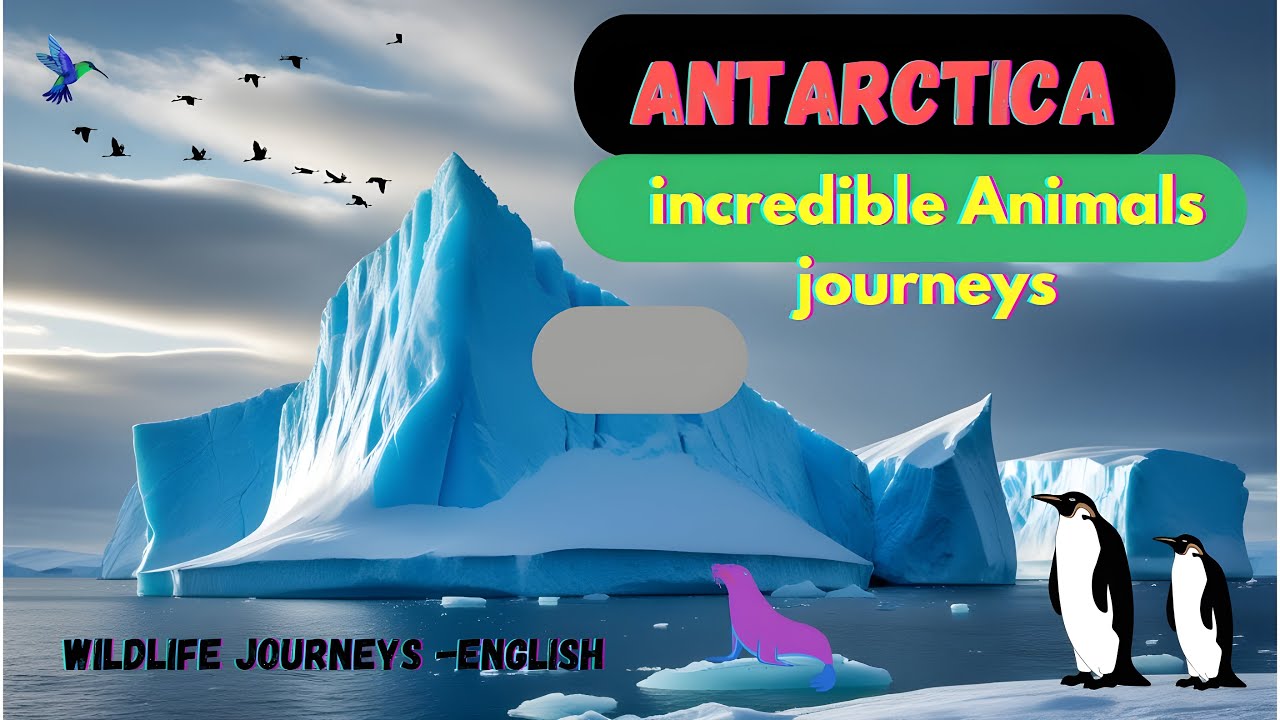 Antarctica life Documentary In English | incredible Animal journeys ...